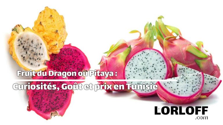 Prix Du Fruit Du Dragon
